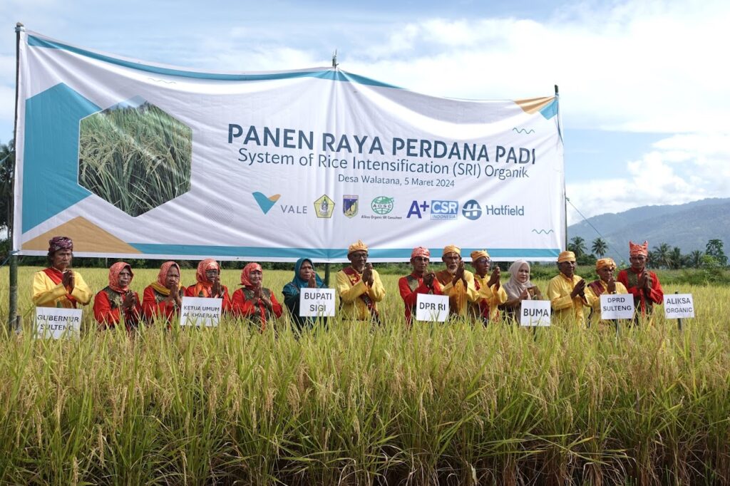 PT Vale Panen Perdana Padi SRI Organik di Sigi - mitranusantara.id